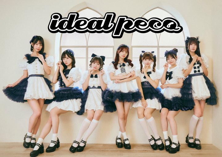 ideal peco トップページ – 株式会社iDL