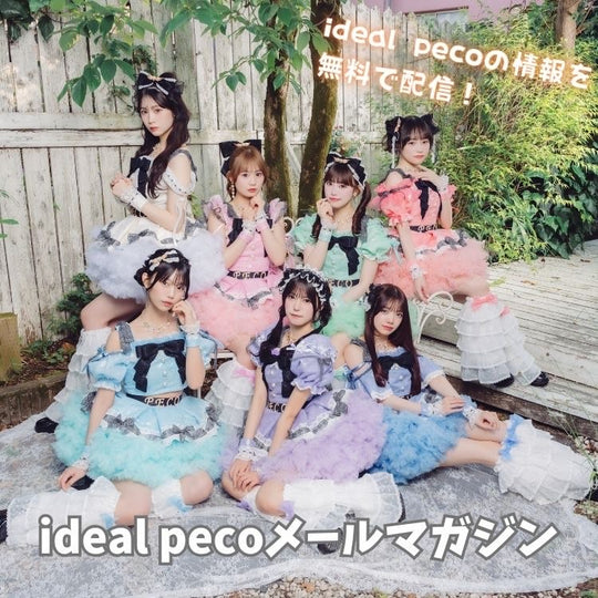 ideal peco Schedule – 株式会社iDL
